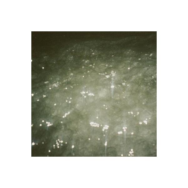 【発売日：2026年03月06日】ご注文後のキャンセル・返品は承れません。発売日:2026年03月06日/商品ID:7972737/ジャンル:SOUL/CLUB/RAP/フォーマット:LP/構成数:1/レーベル:St. Odes/アーティス...