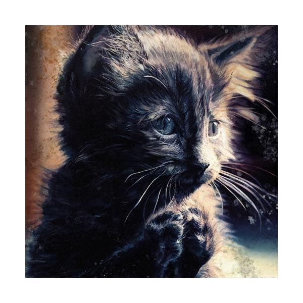 【発売日：2026年03月20日】ご注文後のキャンセル・返品は承れません。発売日:2026年03月20日/商品ID:7974102/ジャンル:ROCK/POP/フォーマット:CD/構成数:1/レーベル:Synaptic Cliffs/rit...