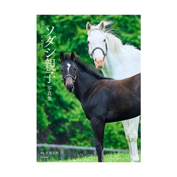 【発売日：2026年03月27日】ご注文後のキャンセル・返品は承れません。発売日:2026年03月27日/商品ID:7982096/ジャンル:DOMESTIC BOOKS/フォーマット:Book/構成数:1/レーベル:講談社/アーティスト:...