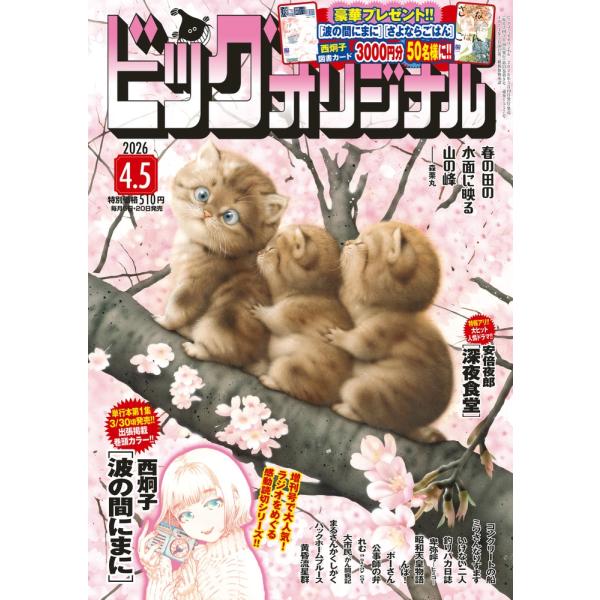 【発売日：2026年03月19日】ご注文後のキャンセル・返品は承れません。発売日:2026年03月19日/商品ID:7988177/ジャンル:DOMESTIC MAGAZINE/フォーマット:Magazine/構成数:1/レーベル:小学館/...
