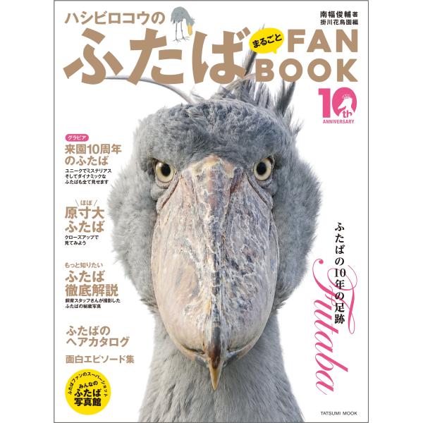 【発売日：2026年07月01日】ご注文後のキャンセル・返品は承れません。発売日:2026年07月01日/商品ID:8010715/ジャンル:DOMESTIC BOOKS/フォーマット:Mook/構成数:1/レーベル:辰巳出版/アーティスト...