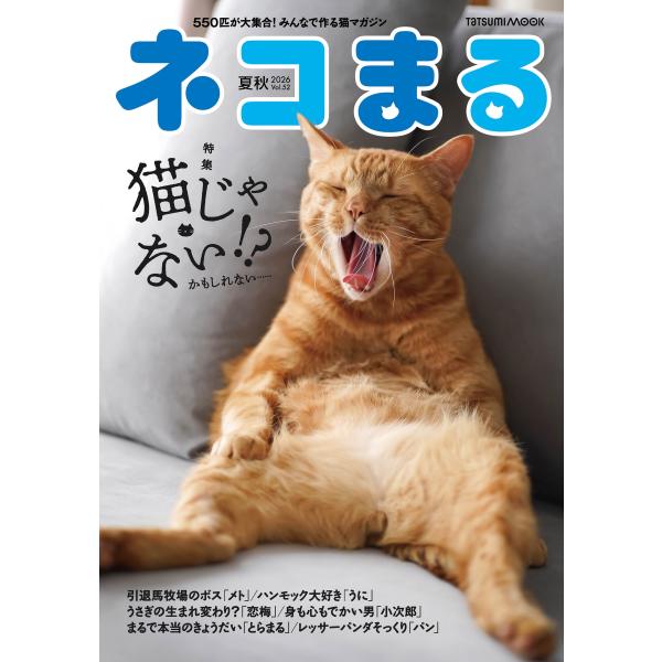 【発売日：2026年05月21日】ご注文後のキャンセル・返品は承れません。発売日:2026年05月21日/商品ID:8011607/ジャンル:DOMESTIC BOOKS/フォーマット:Mook/構成数:1/レーベル:辰巳出版/タイトル:ネ...