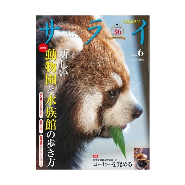 【発売日：2026年05月09日】ご注文後のキャンセル・返品は承れません。発売日:2026年05月09日/商品ID:8019664/ジャンル:DOMESTIC MAGAZINE/フォーマット:Magazine/構成数:1/レーベル:小学館/...