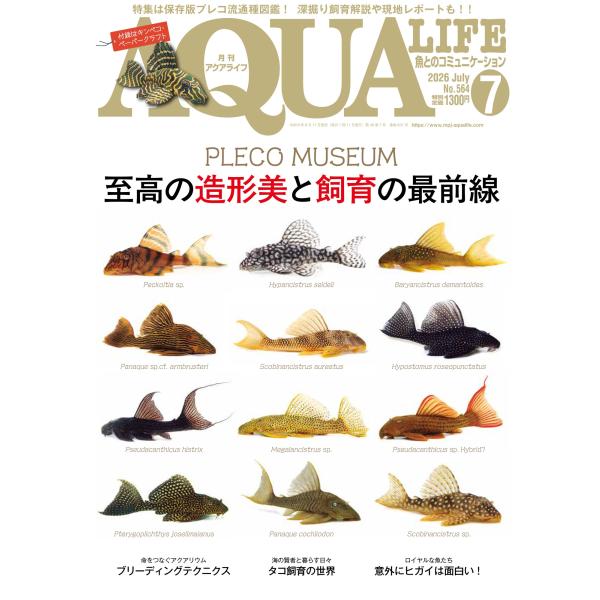 【発売日：2026年06月11日】ご注文後のキャンセル・返品は承れません。発売日:2026年06月11日/商品ID:8044104/ジャンル:DOMESTIC MAGAZINE/フォーマット:Magazine/構成数:1/レーベル:エムピー...