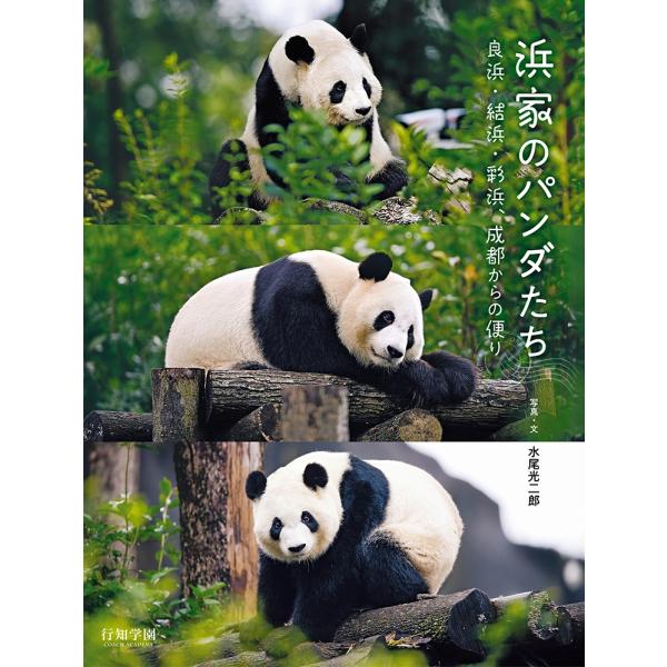 【発売日：2026年07月31日】ご注文後のキャンセル・返品は承れません。発売日:2026年07月31日/商品ID:8055128/ジャンル:DOMESTIC BOOKS/フォーマット:Book/構成数:1/レーベル:行知学園/アーティスト...