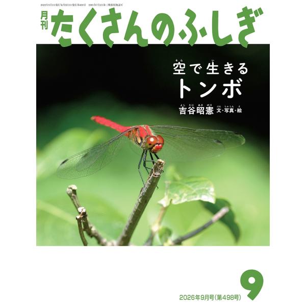 【発売日：2026年08月03日】ご注文後のキャンセル・返品は承れません。発売日:2026年08月03日/商品ID:8066316/ジャンル:DOMESTIC MAGAZINE/フォーマット:Magazine/構成数:1/レーベル:福音館書...