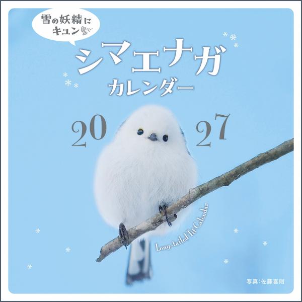 【発売日：2026年09月14日】ご注文後のキャンセル・返品は承れません。発売日:2026年09月14日/商品ID:8066799/ジャンル:DOMESTIC BOOKS/フォーマット:Book/構成数:1/レーベル:芸文社/タイトル:雪の...