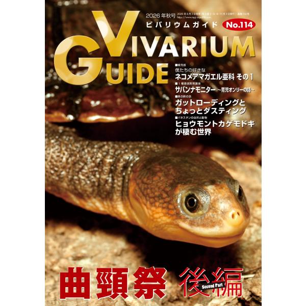 【発売日：2026年08月03日】ご注文後のキャンセル・返品は承れません。発売日:2026年08月03日/商品ID:8090672/ジャンル:DOMESTIC MAGAZINE/フォーマット:Magazine/構成数:1/レーベル:エムピー...