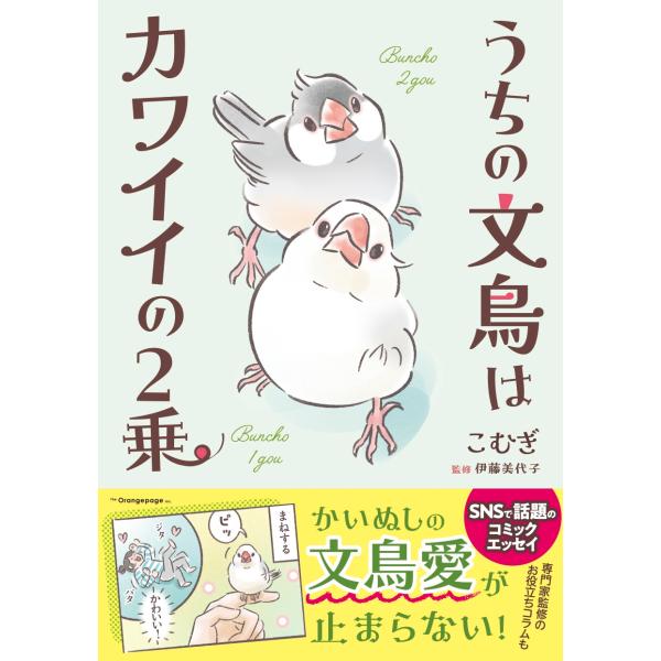 【発売日：2026年09月28日】ご注文後のキャンセル・返品は承れません。発売日:2026年09月28日/商品ID:8129997/ジャンル:DOMESTIC BOOKS/フォーマット:Book/構成数:1/レーベル:オレンジページ/アーテ...