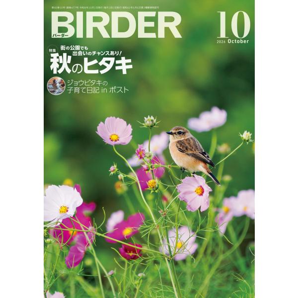 【発売日：2026年09月16日】ご注文後のキャンセル・返品は承れません。発売日:2026年09月16日/商品ID:8141169/ジャンル:DOMESTIC MAGAZINE/フォーマット:Magazine/構成数:1/レーベル:文一総合...