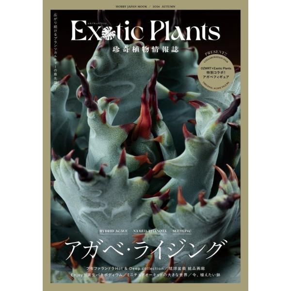【発売日：2026年09月30日】ご注文後のキャンセル・返品は承れません。発売日:2026年09月30日/商品ID:8144126/ジャンル:DOMESTIC BOOKS/フォーマット:Mook/構成数:1/レーベル:ホビージャパン/タイト...