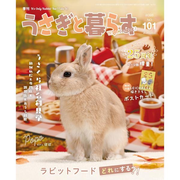 【発売日：2026年09月15日】ご注文後のキャンセル・返品は承れません。発売日:2026年09月15日/商品ID:8155270/ジャンル:DOMESTIC MAGAZINE/フォーマット:Magazine/構成数:1/レーベル:メディア...