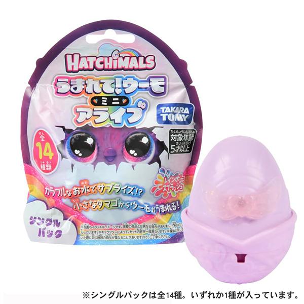 カラフルなお水でサプライズ！？ 小さなたまごからウーモが生まれる！付属のプールにたまごをセットしてお水を注ぐと、たまごの中からウーモミニが誕生！小物と魔法の羽をウーモミニに差して遊んだり、たくさん集めてコレクションしよう♪※シングルパックは...