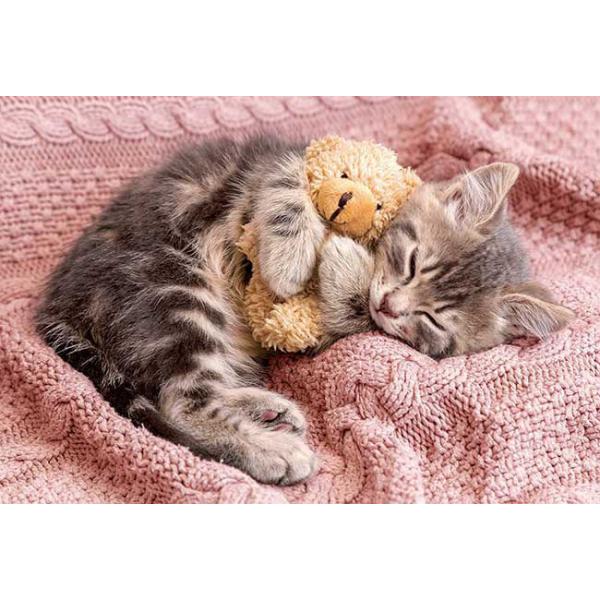 【発売日：2021年03月18日】商品名：お昼寝にゃんこサイズ：26×38cm品　番：APP-300-356ピース数：300メーカー：アップルワン補　足：【ジグソーパズル】【ペット・動物】【ねこ】【202103】【300-500】【色：ブラ...