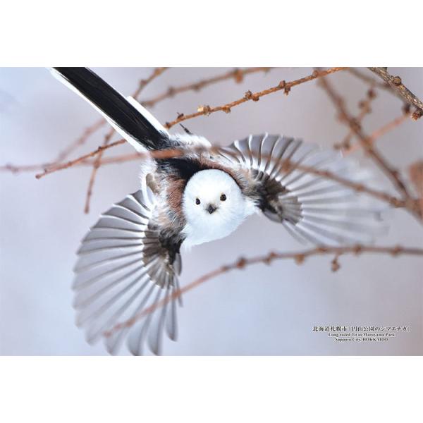 【発売日：2024年12月27日】商品名：北海道札幌市「円山公園のシマエナガ」サイズ：26×38cm品　番：CUT-300-424ピース数：300メーカー：キューティーズ補　足：【ジグソーパズル】【風景】【国内風景】【北海道】【札幌】【30...