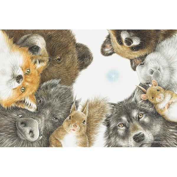 【発売日：2015年10月09日】商品名：ほしをさがしにサイズ：50×75cm品　番：CUT-1000-056ピース数：1000メーカー：キューティーズ補　足：【ジグソーパズル】【イラスト】【しもかわらゆみ】【水彩】【1510】【1000-...