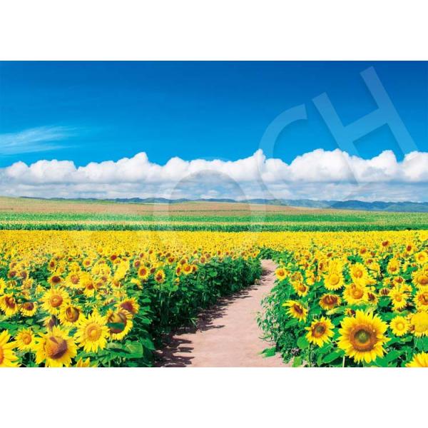 【発売日：2023年07月15日】商品名：青空に輝くヒマワリ畑-北海道 サイズ：38×53cm品　番：EPO-06-301sピース数：500メーカー：エポック社補　足：【ジグソーパズル】【風景】【国内風景】【北海道】【めざせ達人】【2023...