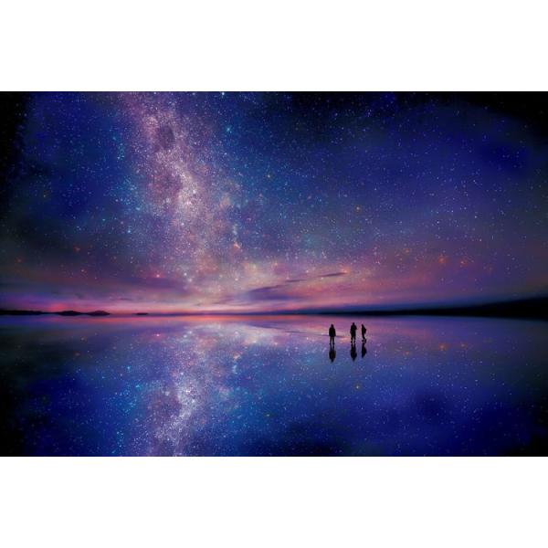【発売日：2017年12月09日】商品名：星空のウユニーボリビアサイズ：50×75cm品　番：EPO-12-508ピース数：1000メーカー：エポック社補　足：【ジグソーパズル】【風景】【海外風景】【ボリビア】【夜景】【めざせパズルの達人】...