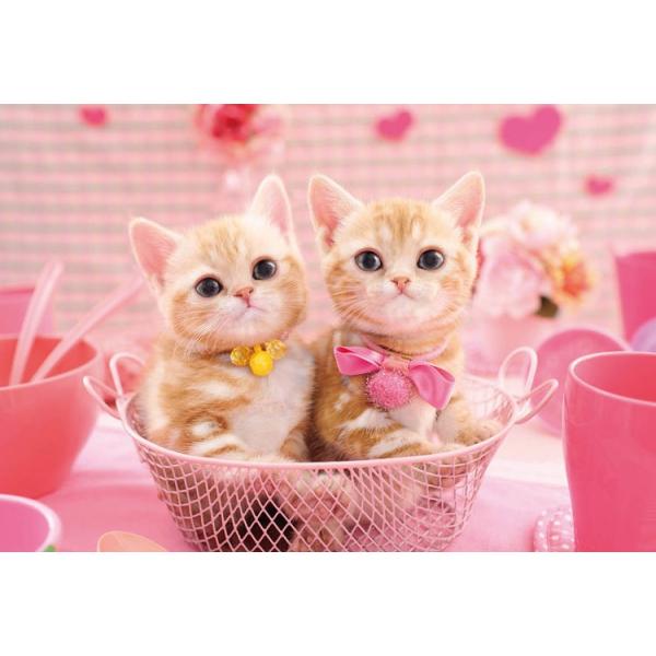 【発売日：2018年06月08日】商品名：ももいろにゃんこサイズ：26×38cm品　番：EPO-25-164ピース数：300メーカー：エポック社補　足：【ジグソーパズル】【ペット・動物】【ねこ】【アメリカンショートヘアー】【201806】【...