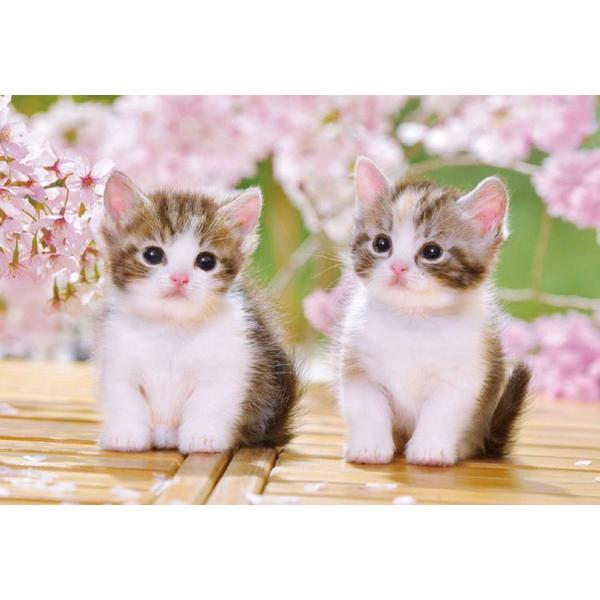 【発売日：2019年08月08日】商品名：おすわりこねこにゃんサイズ：26×38cm品　番：EPO-25-183ピース数：300メーカー：エポック社補　足：【ジグソーパズル】【ペット・動物】【ねこ】【マンチカン】【201908】【300-5...