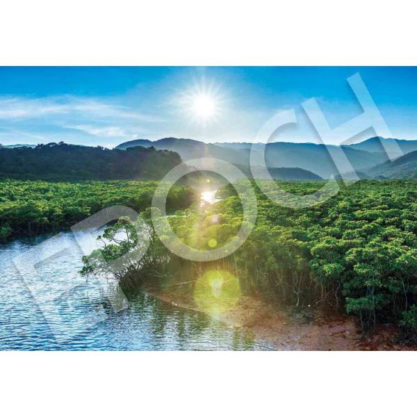 【発売日：2021年09月10日】商品名：西表島［日本］サイズ：26×38cm品　番：EPO-26-361sピース数：300メーカー：エポック社補　足：【ジグソーパズル】【風景】【国内風景】【世界遺産】【九州・沖縄】【沖縄】【めざせ！パズル...