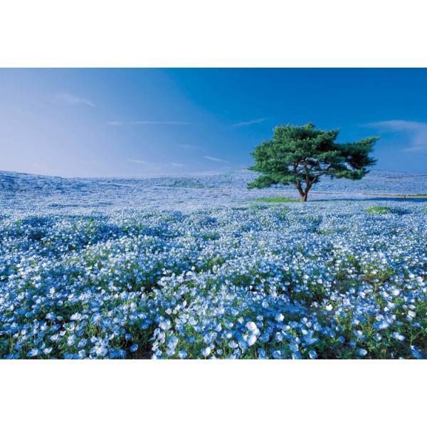【発売日：2018年03月09日】商品名：ネモフィラの丘-茨城サイズ：26×38cm品　番：EPO-31-003ピース数：1053メーカー：エポック社補　足：【ジグソーパズル】【風景】【国内風景】【関東】【茨城】【絶景】【極小ピース系】【ス...