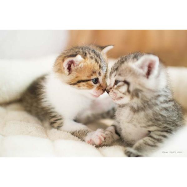 【発売日：2023年04月14日】商品名：なかよしにゃんこサイズ：26×38cm品　番：YAM-03-942ピース数：300メーカー：やのまん補　足：【ジグソーパズル】【ペット・動物】【ねこ】【202304】【300-500】【色：ホワイト...