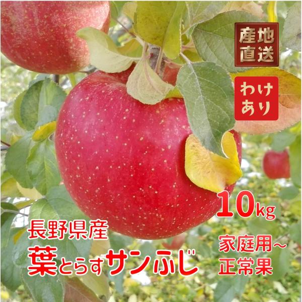【発売日：2025年12月26日】【お知らせ：現在、頑張って選別しています！発送までお時間要しますが年内には発送致します】【品種】『葉とらずサンふじ』太陽の光を究極に浴びました。【規格】葉とらず(家庭用〜正常果：マル特、並、赤秀、秀)【重さ...