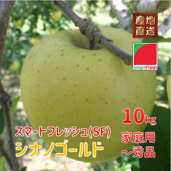 【発売日：2026年02月01日】【品種】シナノゴールドSF(スマートフレッシュ)【規格】『家庭用』〜『正常果(赤秀〜秀)』【重さ】約9〜10kg【玉数】16〜46玉　【【味】フレッシュな酸味と甘さが絶妙なバランス！【食感】夏までシャキシャ...