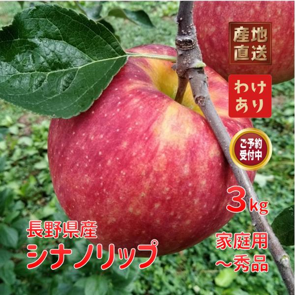 【発売日：2026年08月11日】【お知らせ：現在収穫中につき順次発送可能です】【注意：本商品は予約販売商品の為、収穫まで発送されません】※お急ぎの方、受取不可日がある方はご一報ください。【注意：夏の暑さの影響で「着色」が浅いもの「見た目」...