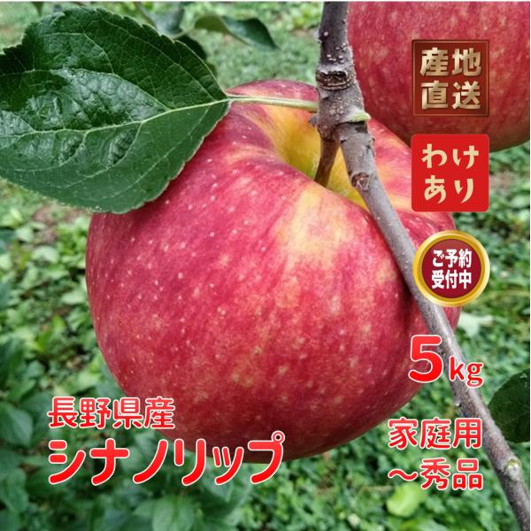 【発売日：2026年08月11日】【お知らせ：現在収穫中につき順次発送可能です】【注意：本商品は予約販売商品の為、収穫まで発送されません】※お急ぎの方、受取不可日がある方はご一報ください。【注意：夏の暑さの影響で「着色」が浅いもの「見た目」...
