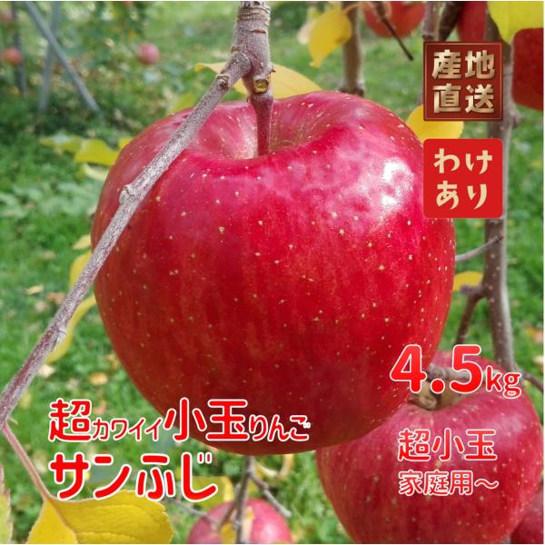 【発売日：2025年12月12日】【品種】『サンふじ』小さいけれど太陽の光をたくさん浴びて究極に美味しくなりました。【規格】超小玉(家庭用〜秀)【重さ】約4.5kg【玉数】20〜33玉【味】甘さと酸味の絶妙なバランス。【食感】硬め、シッカリ...