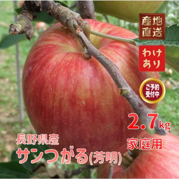 【発売日：2026年09月01日】【お知らせ：現在収穫中につき順次発送可能です】【注意：本商品は予約販売商品の為、収穫まで発送されません】※お急ぎの方、受取不可日がある方はご一報ください。【注意：夏の暑さの影響で「着色」が浅いもの「見た目」...