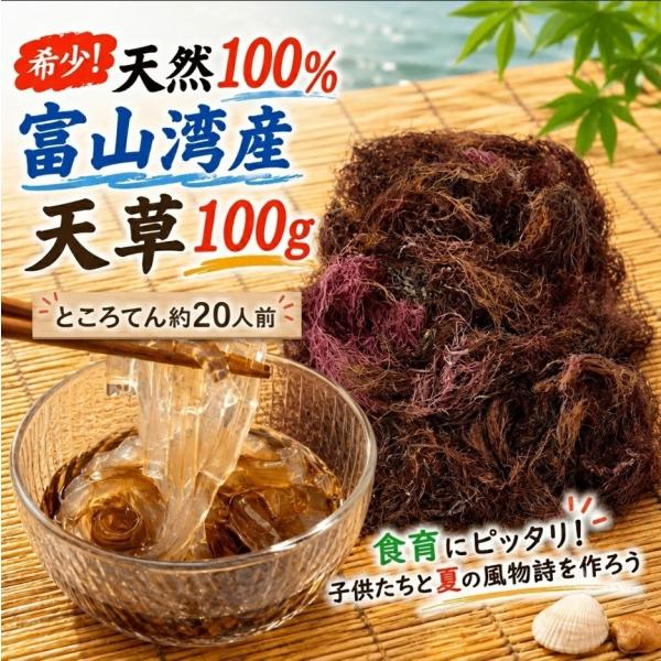 天草 テングサ 富山湾産100% 氷見阿尾の「天然 天草（赤草）」100g お家で作る無添加ところてん体験日本海の荒波と豊かな潮流で育った100%天然素材しっかりとした繊維質でコシのある食感と海藻本来の風味を感じられます。赤草からさらし草へ...