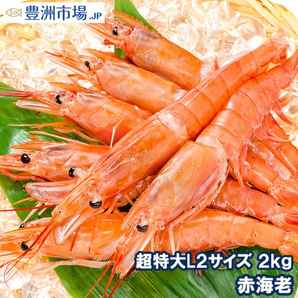 赤海老2kg＜特大L2・40〜60尾・業務用1箱＞お刺身用赤えび。ぼたん海老を超える希少な超特大！大きくプリプリの赤海老は甘みが違う♪【赤えび 赤エビ あかえび アカエビ アルゼンチン 寿司 バーベキュー ＢＢＱ レシピ】【商品説明】赤海老...