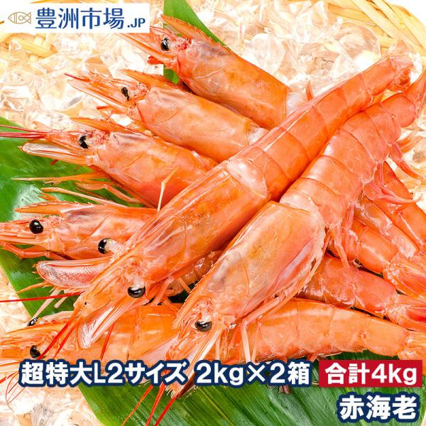 赤海老4kg＜特大L2・40〜60尾・業務用2kg×2箱＞お刺身用赤えび。ぼたん海老を超える希少な超特大！大きくプリプリの赤海老は甘みが違う♪【赤えび 赤エビ あかえび アカエビ アルゼンチン 寿司 バーベキュー ＢＢＱ レシピ】【商品説明...