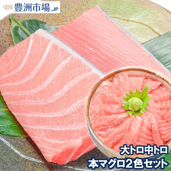 【送料無料】本まぐろ大トロ200g＆中トロ200gセット通が唸るまぐろの真髄赤身と人気1番中トロを極める【鮪 マグロ 刺身】【業務用 レシピ 料理 豊洲市場】【商品名】養殖本まぐろ大トロ＆中トロ各200g【原産地】大西洋・地中海マルタ【賞味...
