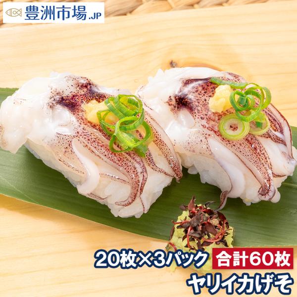 【商品名】ヤリイカげそ２０枚(寿司ネタ・刺身用やりいかげそ）【原産国】ベトナム、インド、タイ【原材料名】やりいか、食塩【内容量】合計６０枚・２０枚×３パック（８ｇ×２０枚）【賞味期限】パッケージに記載（お早めにお召しあがり下さい）【保存方法...