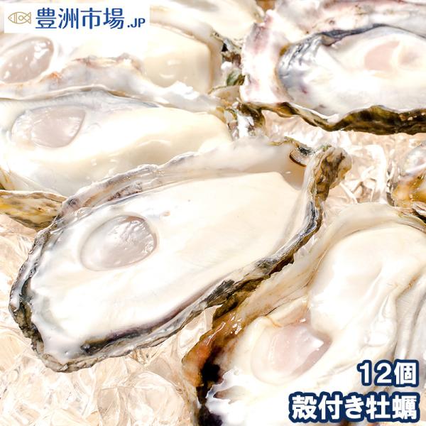 生牡蠣（１２個入り・冷凍殻付き牡蠣・生食）殻付きの冷凍生牡蠣！生食可能でプリプリのカキを是非一度。【冷凍生牡蠣】【かき】【カキ】【牡蠣】【カキフライ】【商品説明】冷凍殻付きかき（生食用）【原材料】マガキ【原産地】国産（兵庫、広島等）【内容量...