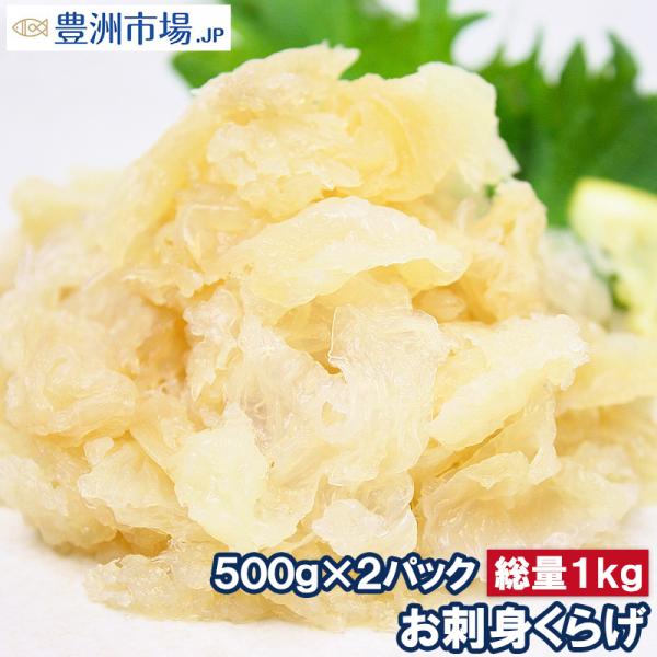 お刺身くらげ知っていますかお刺身くらげ！？ヘルシーでコリコリっとした食感がかなりクセになる旨さです！【くらげ クラゲ お刺身くらげ 中華クラゲ お刺身 海藻サラダ おつまみ レシピ 料理】【豊洲市場 ギフト 母の日 父の日 お中元 お歳暮】...