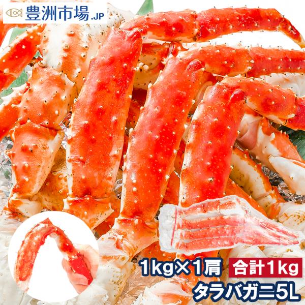 タラバがに足5Lサイズ1kg丸ごとショルダーがお買い得【タラバガニ たらばがに タラバがに かに カニ 蟹 たらば】【業務用 レシピ 料理 豊洲市場】【商品名】ボイルタラバ蟹5L（ショルダー）【内容量】冷凍総重量1kg前後【原産地】ノルウェ...