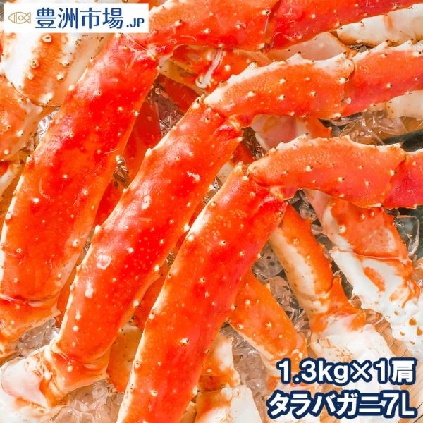 タラバがに足7Lサイズ1.3kg前後丸ごとショルダーがお買い得【タラバガニ たらばがに タラバがに かに カニ 蟹 たらば】【業務用 レシピ 料理 豊洲市場】【商品説明】ボイルタラバ蟹7L（ショルダー）【内容量】冷凍総重量1.3kg前後【原...
