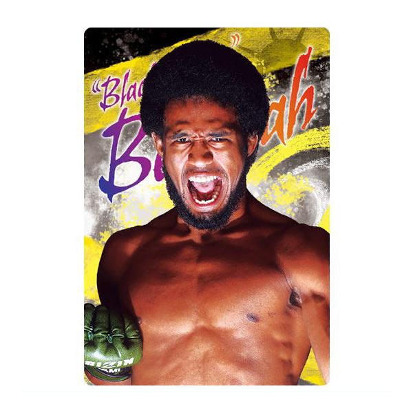 ■商品名：RIZINウエハース'24格闘技イベント『RIZIN』のファイターカードの第2弾が登場！RIZINファイター34人を収録。SR2種、R7種は選手のサインをデザインにあしらった光り輝く豪華ホロカード！【賞味期限】ラインナップ確認の為...
