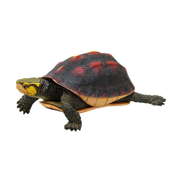 ■商品名：Nature of Japan 日本のいきもの02日本に生息する生き物の美しさを丁寧に表現した本格フィギュアNature of japanシリーズ第2弾！身近な生き物から天然記念物まで、バラエティ豊かにラインナップ！それぞれの生き...