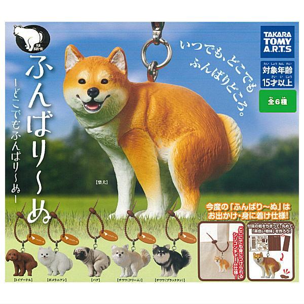 ■商品名：ふんばり〜ぬ どこでもふんばり〜ぬわんちゃんたちが一生懸命ふんばる姿を再現した「ふんばり?ぬ」シリーズに、お散歩仕様が登場。一緒にお出かけできるできるシリコンチャームが付いていて、付属する取扱説明書をちぎって丸めると茶色い物体が作...