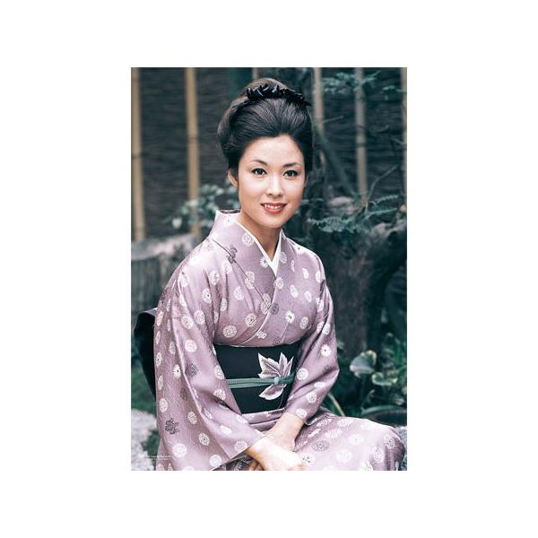 名カメラマン、早田雄二が撮った大スターたちをパズルにしました。今では撮れない貴重な写真からセレクトしたプレミアム感ある商品です。ギフトにも最適です。若尾文子日本映画を代表する和服姿の艶やかな美貌の大女優。大映の看板女優と謳われ、２６０本以上...