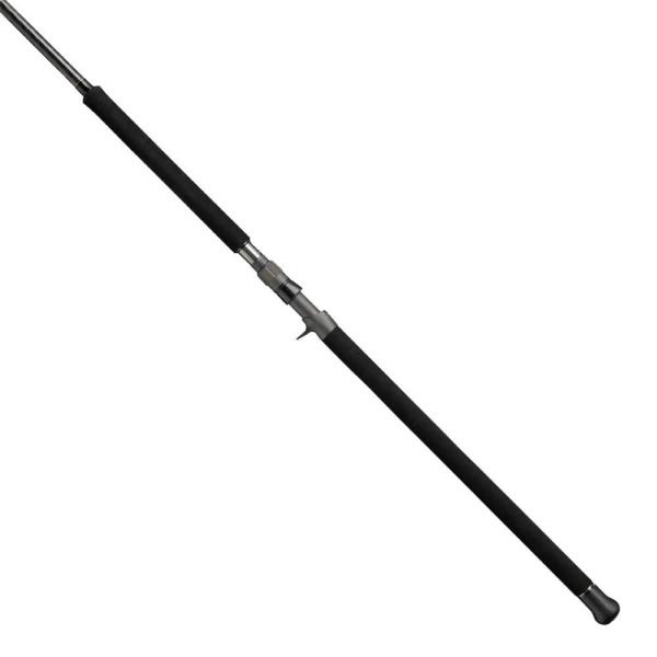 ■バリエーション：C100SXH (ベイトモデル),10'0"■メーカー：テイルウォーク(tailwalk)・全長(ft): 10'0" / 継数: 2 / 仕舞寸法: 156cm・自重：495g・適合ルアーウェイト: MAX 150g・適...