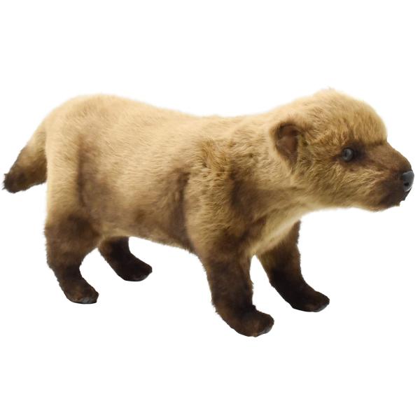■メーカー：ハンサ(HANSA)・商品タイプ：リアルな動物のぬいぐるみ・動物：ヤブイヌ・【HANSAとは】 1972年にオーストラリアで創業して以来、地球上に生息する動物を中心に様々な生物を研究し、細部までリアルに再現したぬいぐるみを製造し...