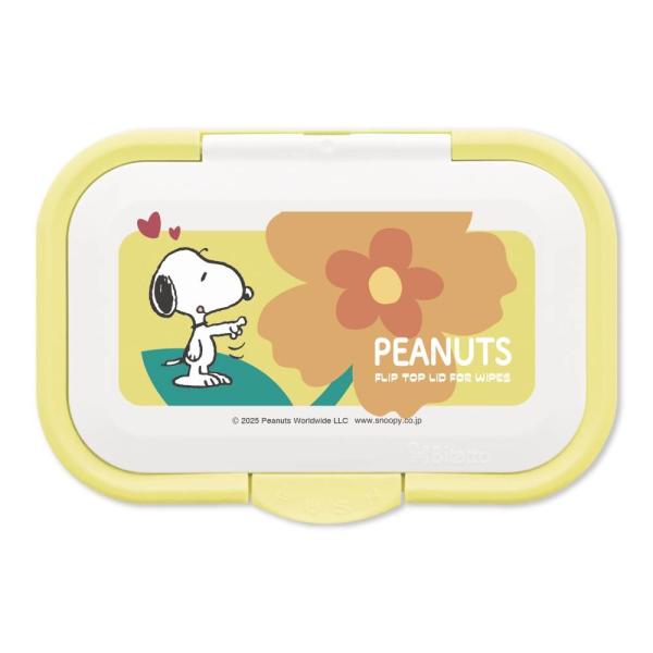 ,#00003380,#00003592,#20251225001