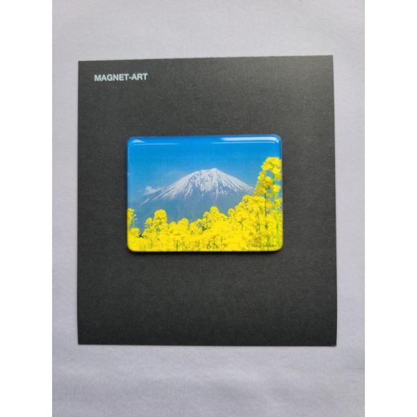 ようこそアートマグネット収集の世界へ世の中には様々なものを集めている人たちがいます。マグネットもその一つです。世界を旅しながらご当地マグネットを収集される方や、美術館の展覧会へ行くと必ずマグネットを購入される方も！ご家庭でマグネットを貼る場...